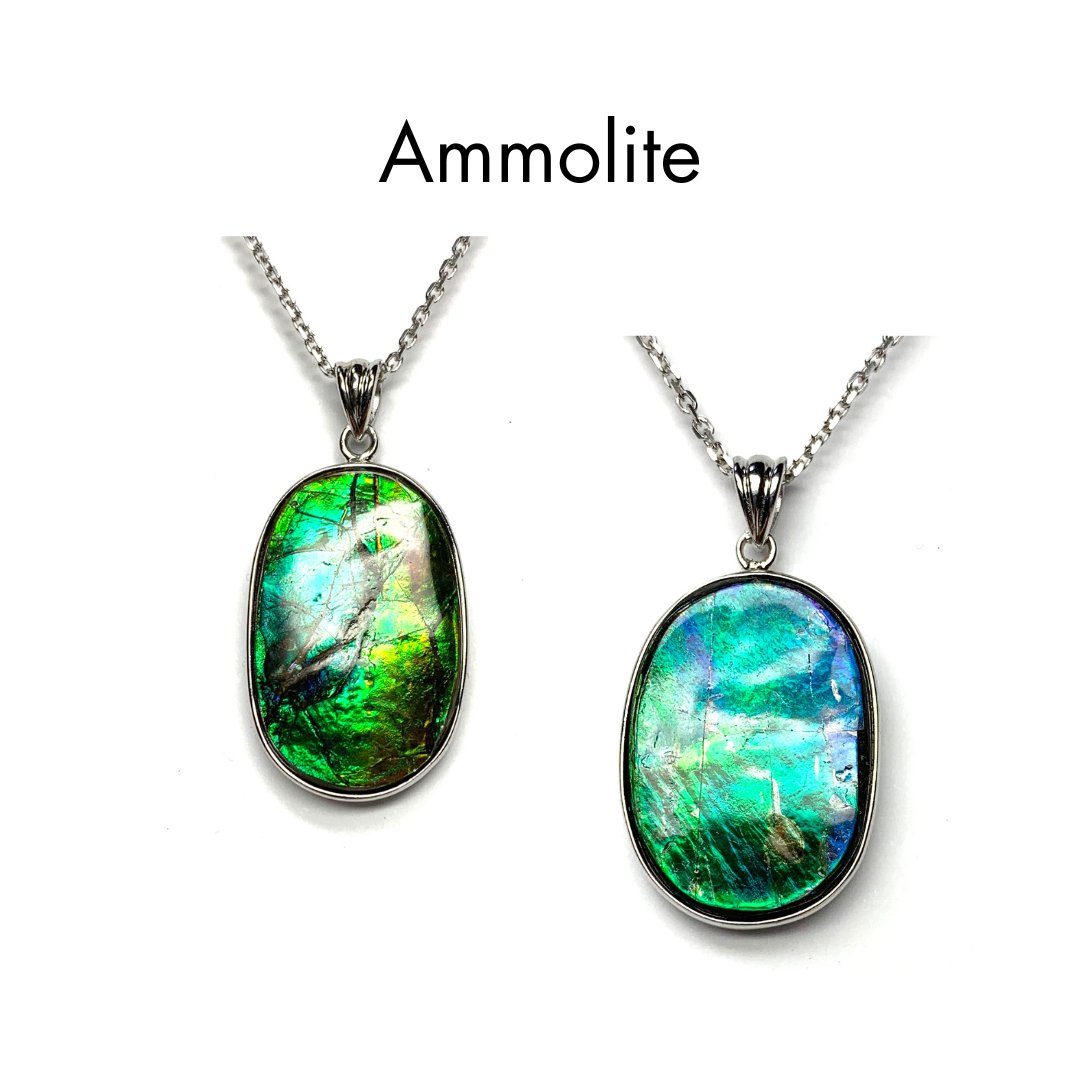 Native Birds – Kate Soady Art